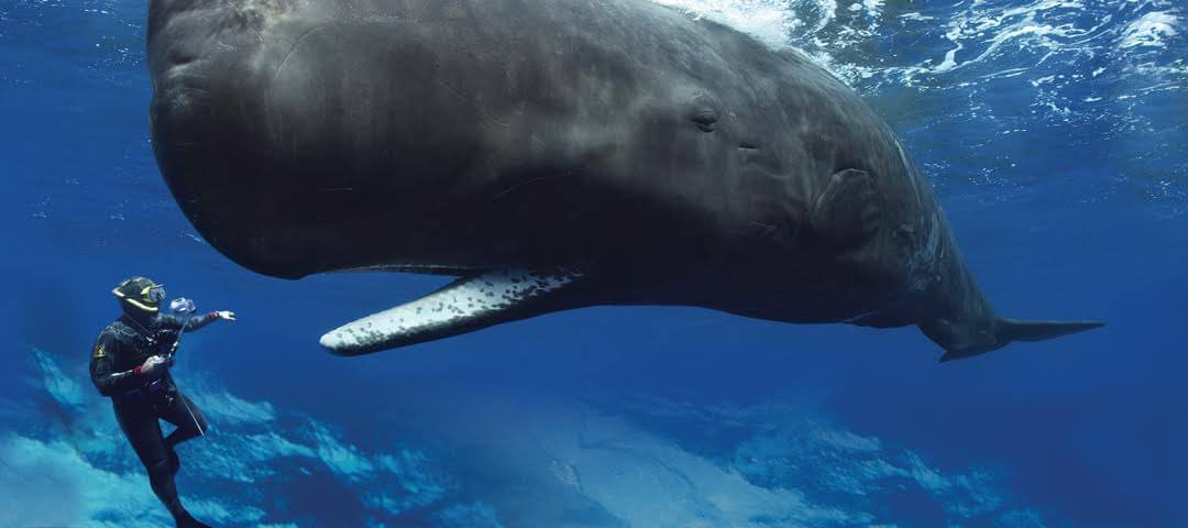 Grand Rapids Public Museum | Be curious.