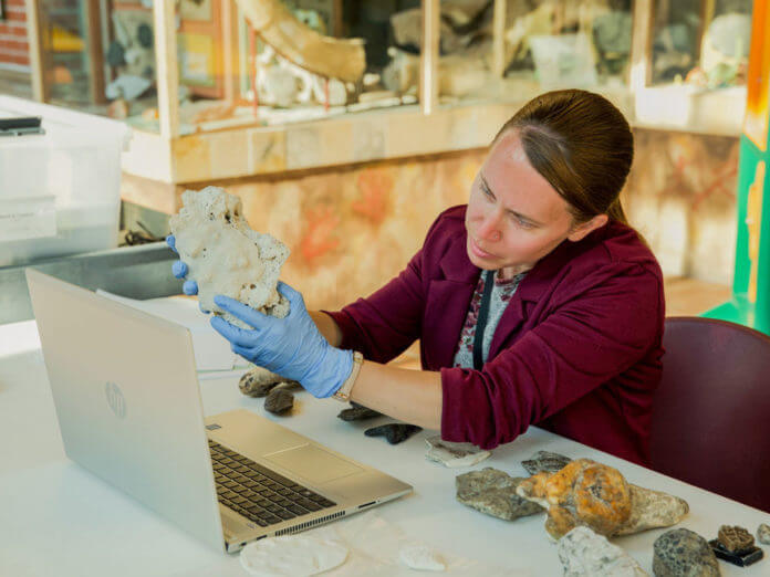 Lessons and Resources - Grand Rapids Public Museum