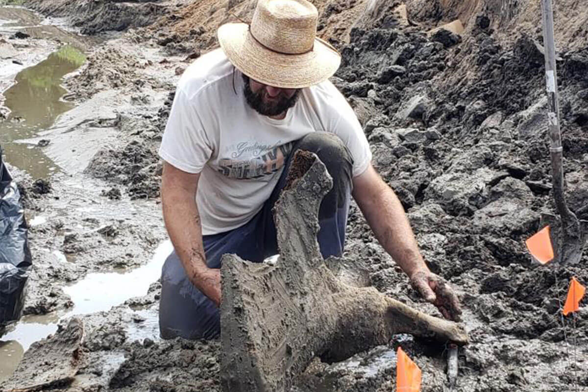 Summer Saturdays: Dino Day - Grand Rapids Public Museum